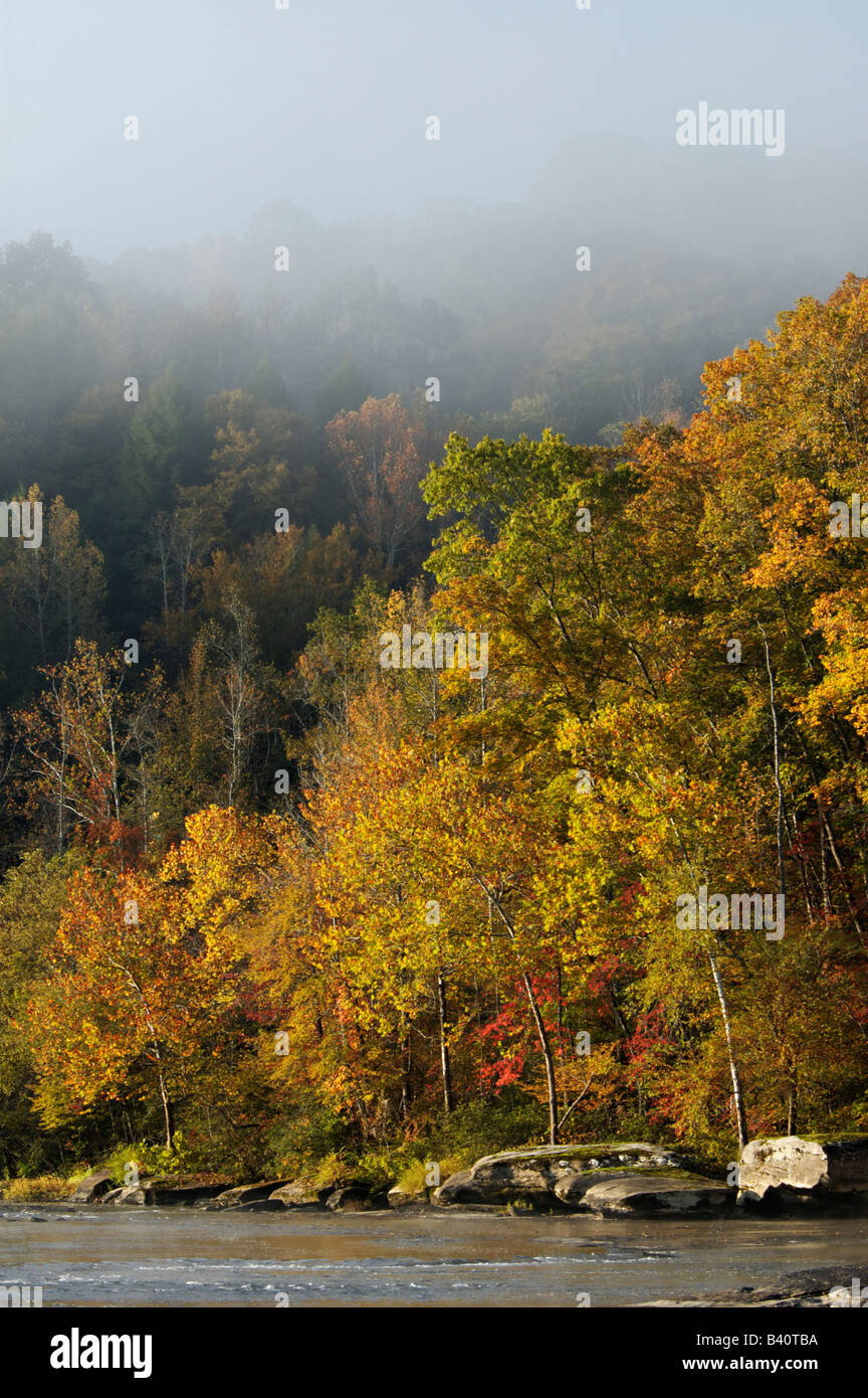 Autumn Color and Lifting Fog on the Cumberland River in Daniel Boone ...