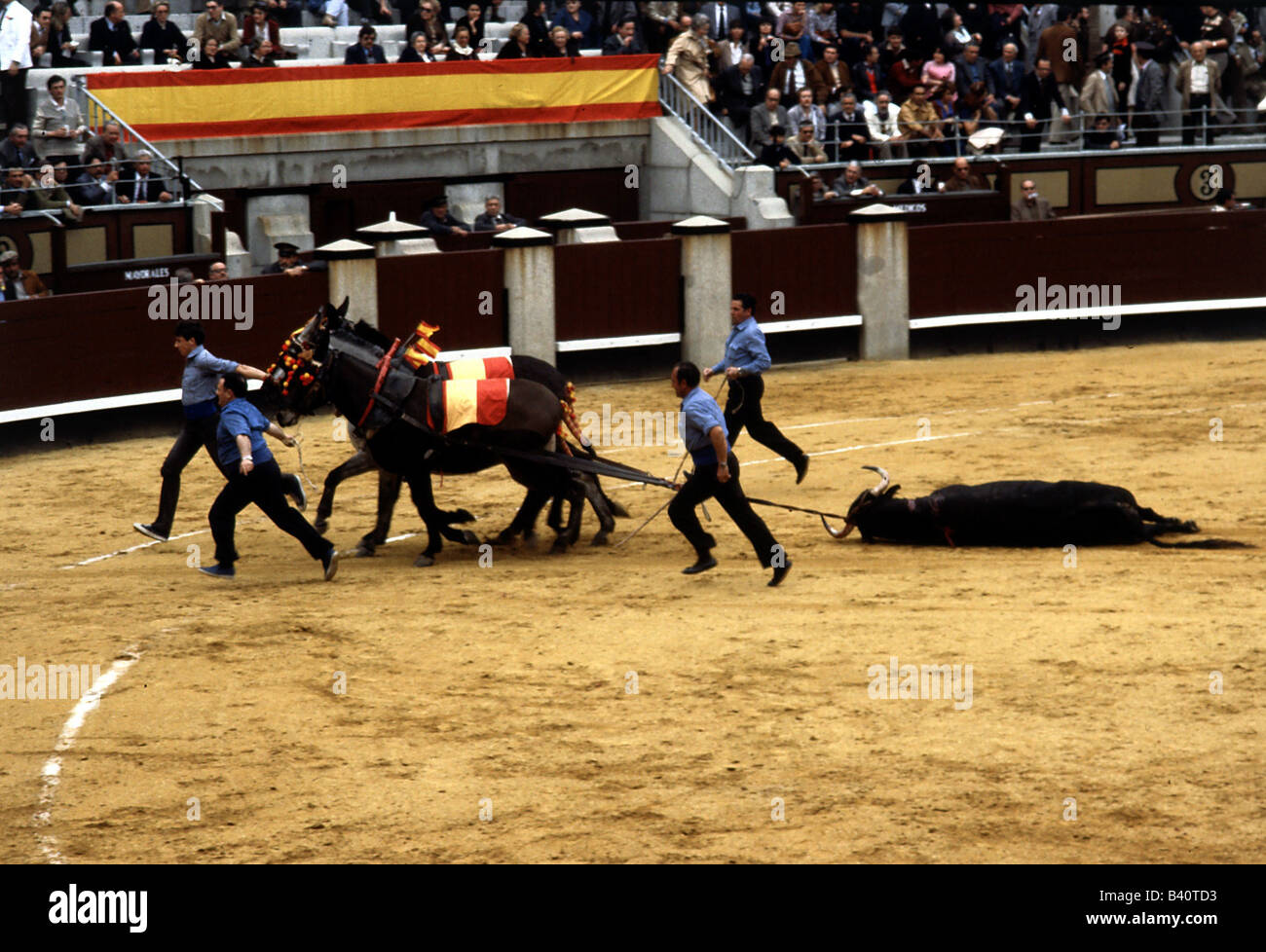 Death of the animals hi-res stock photography and images - Alamy