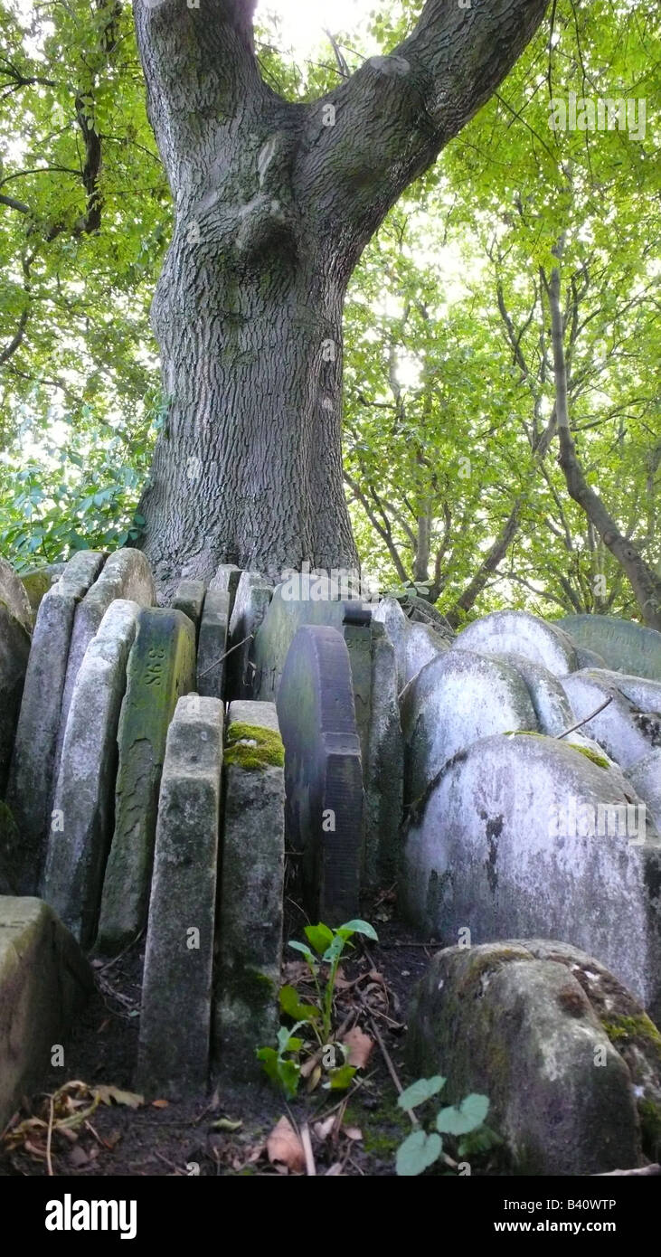 Hardy tree gravestones hi-res stock photography and images - Alamy