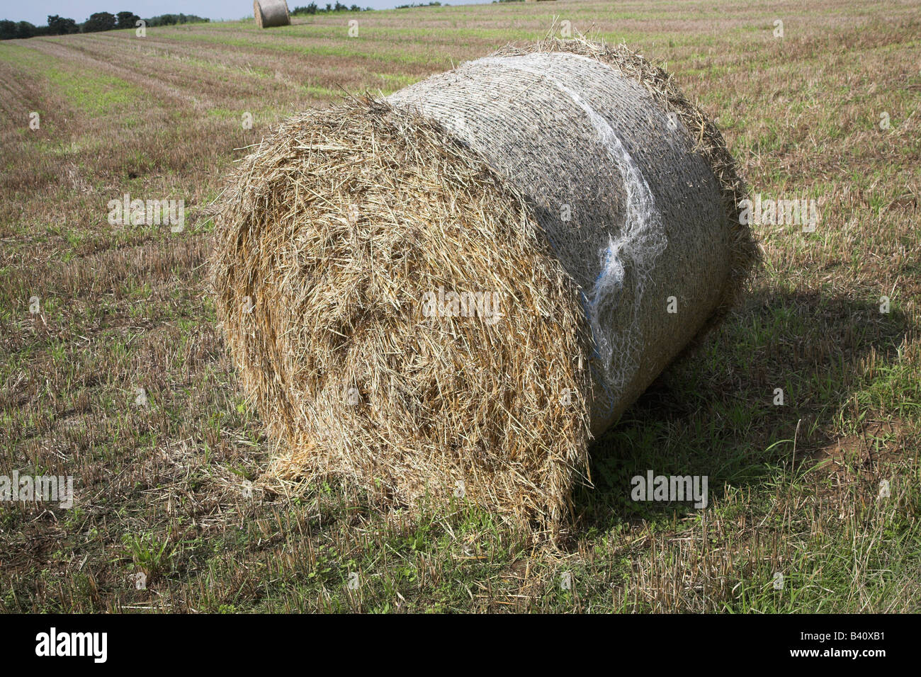 Rolled round bale hi-res stock photography and images - Alamy