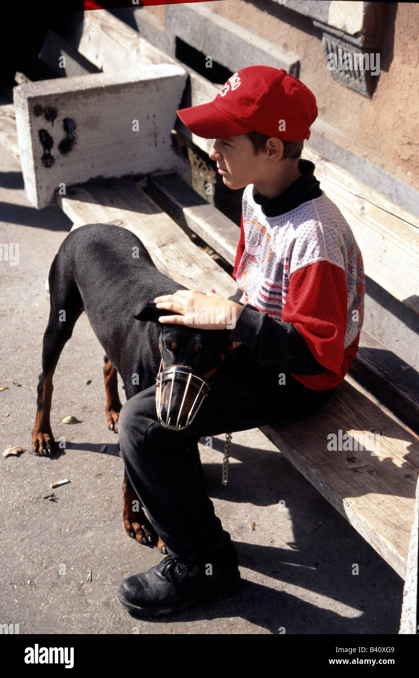 Dobermann attack hi-res stock photography and images - Alamy
