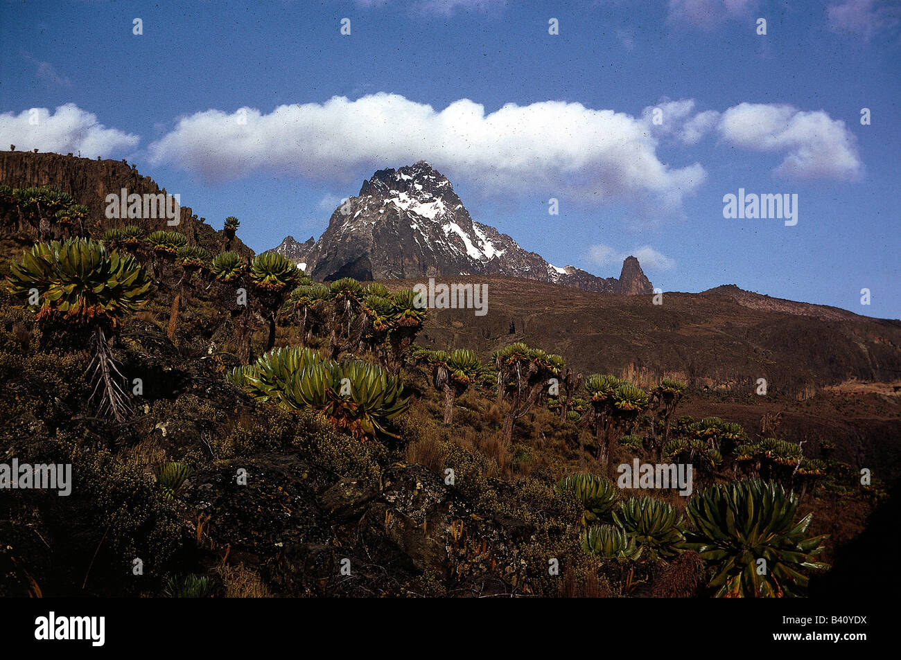 geography / travel, Kenya, Mount Kenya, tropical woods, Africa, UNESCO ...