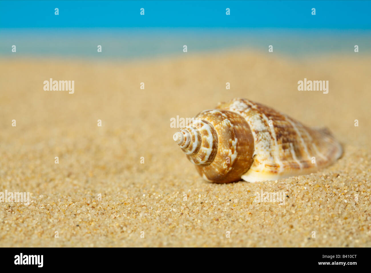 Snail Shell House High Resolution Stock Photography and Images - Alamy