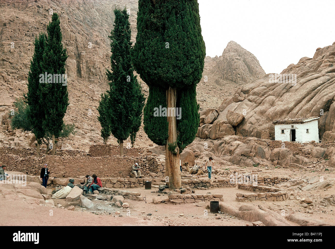 geography / travel, Egypt, Sinai, oasis at Mountain of Moses Stock ...