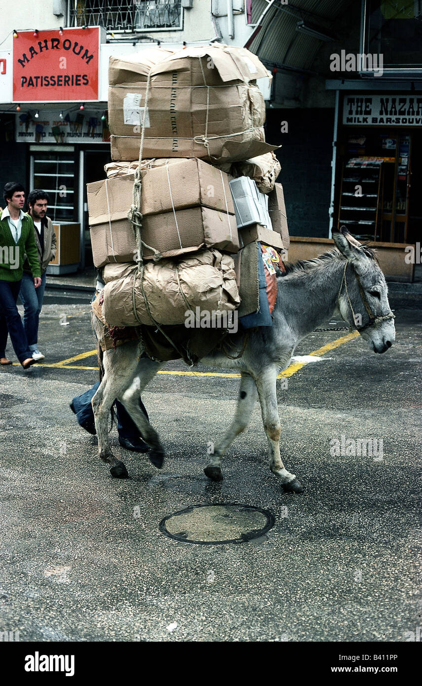 Donkey carrying goods hi-res stock photography and images - Alamy