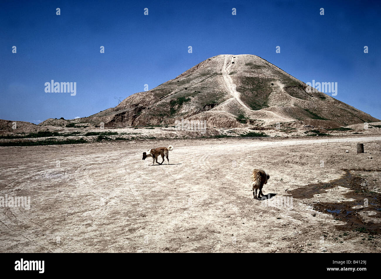 Kalah nimrud hi-res stock photography and images - Alamy