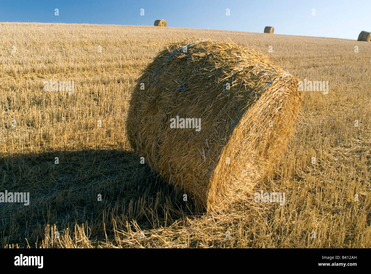 Straw ball on the field Stock Photo - Alamy