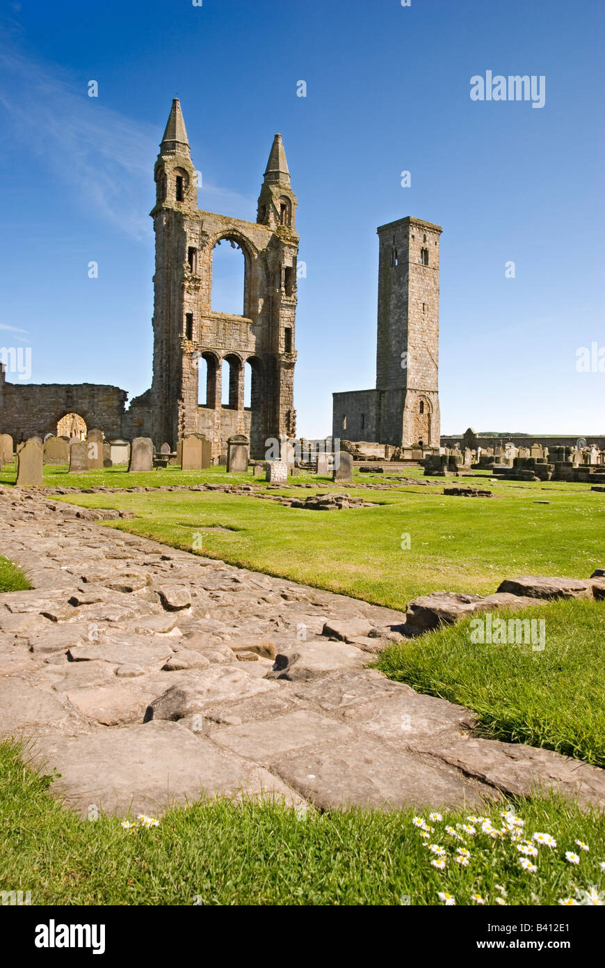 Historic remains of St Andrews Cathedral, Scotland Stock Photo - Alamy