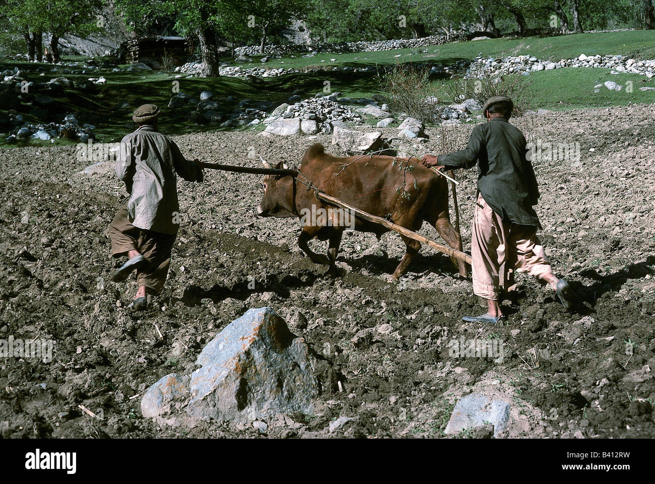 geography / travel, Pakistan, agriculture / farming, farmer with wood ...