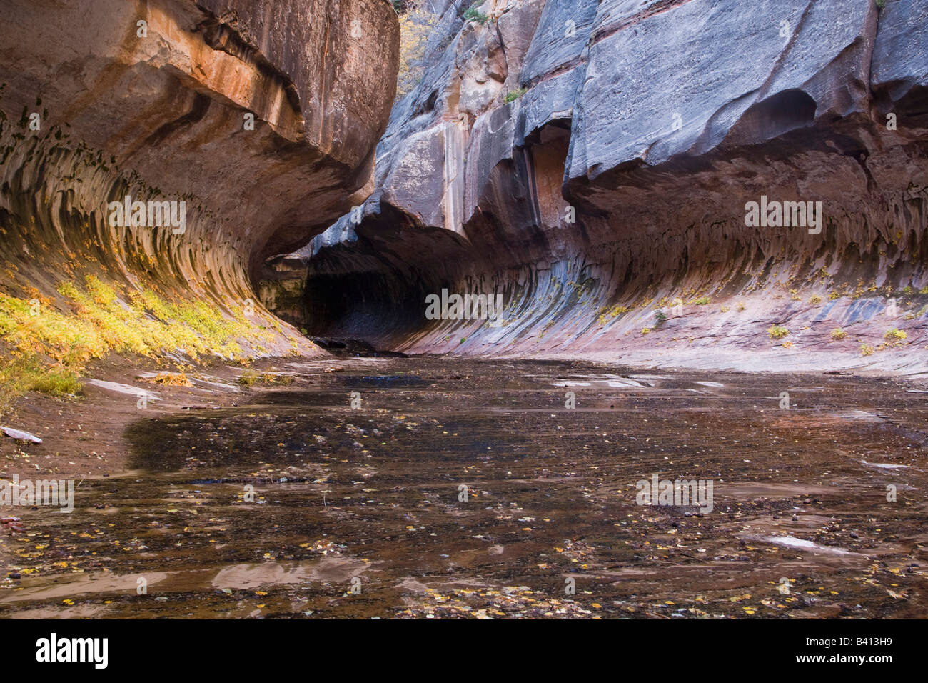 The Subway along the Left Fork of the Virgin River in Zion National ...