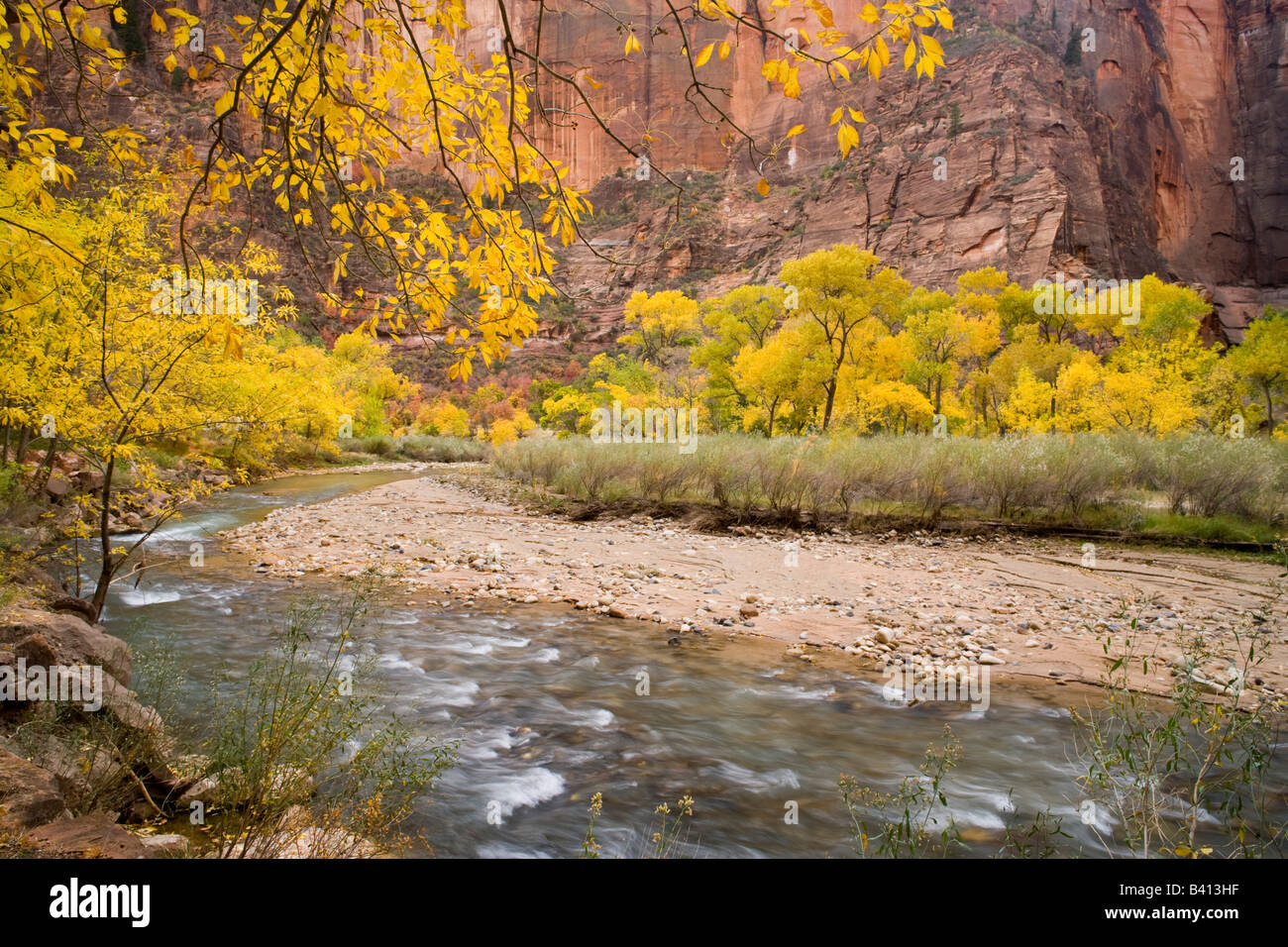 The Virgin River in autumn in Zion National Park in Utah Stock Photo ...