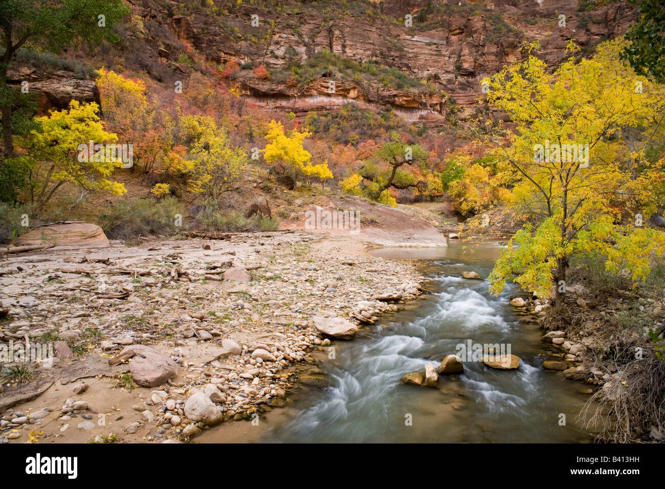 The Virgin River in autumn in Zion National Park in Utah Stock Photo ...