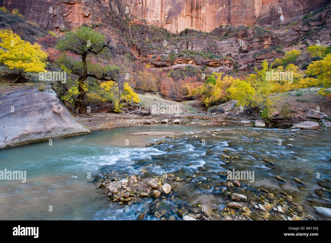 The Virgin River in autumn in Zion National Park in Utah Stock Photo ...