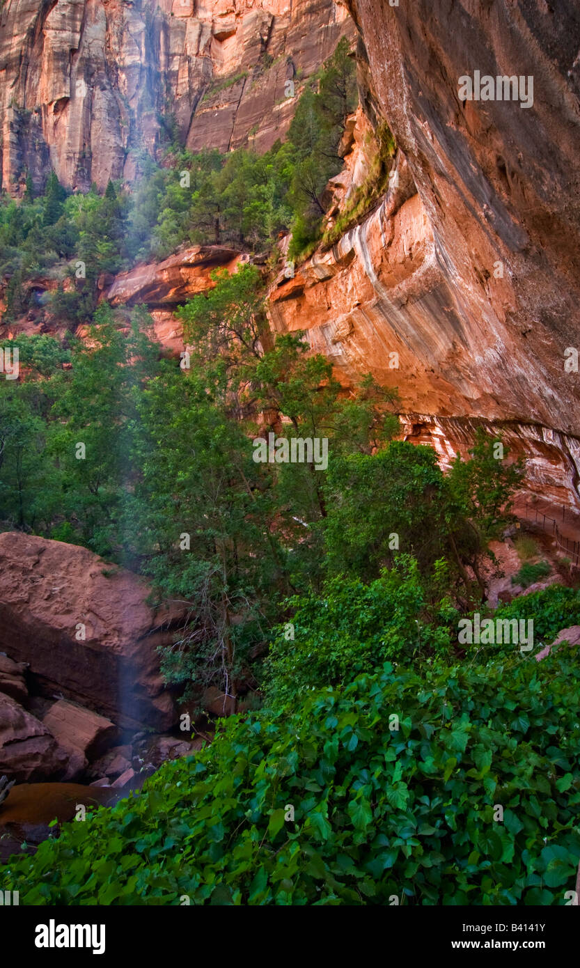 USA, Utah, Zion Natoinal Park. Falls in the Emerald Pools Stock Photo ...