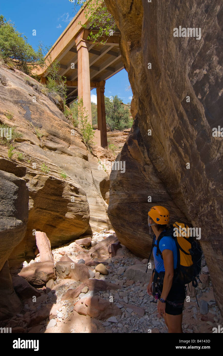 USA, Utah, Zion National Park. A female canyoneer looks up at the ...