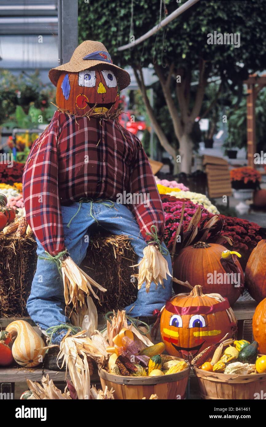 Indian scarecrow hi-res stock photography and images - Alamy