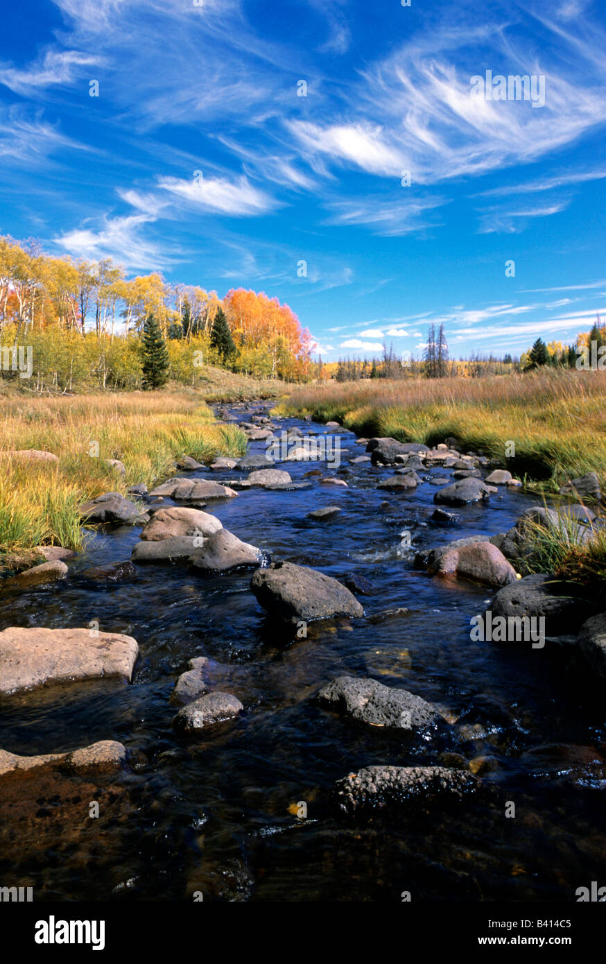 Stream in Fish Lake Mountains, Utah, USA Stock Photo - Alamy