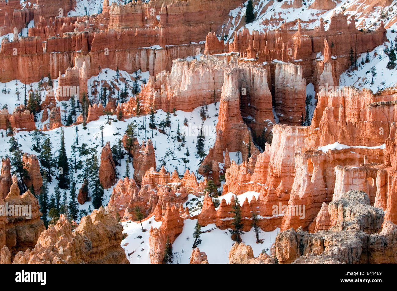 Bryce Amphitheater, Bryce Canyon National Park, Utah, USA Stock Photo ...