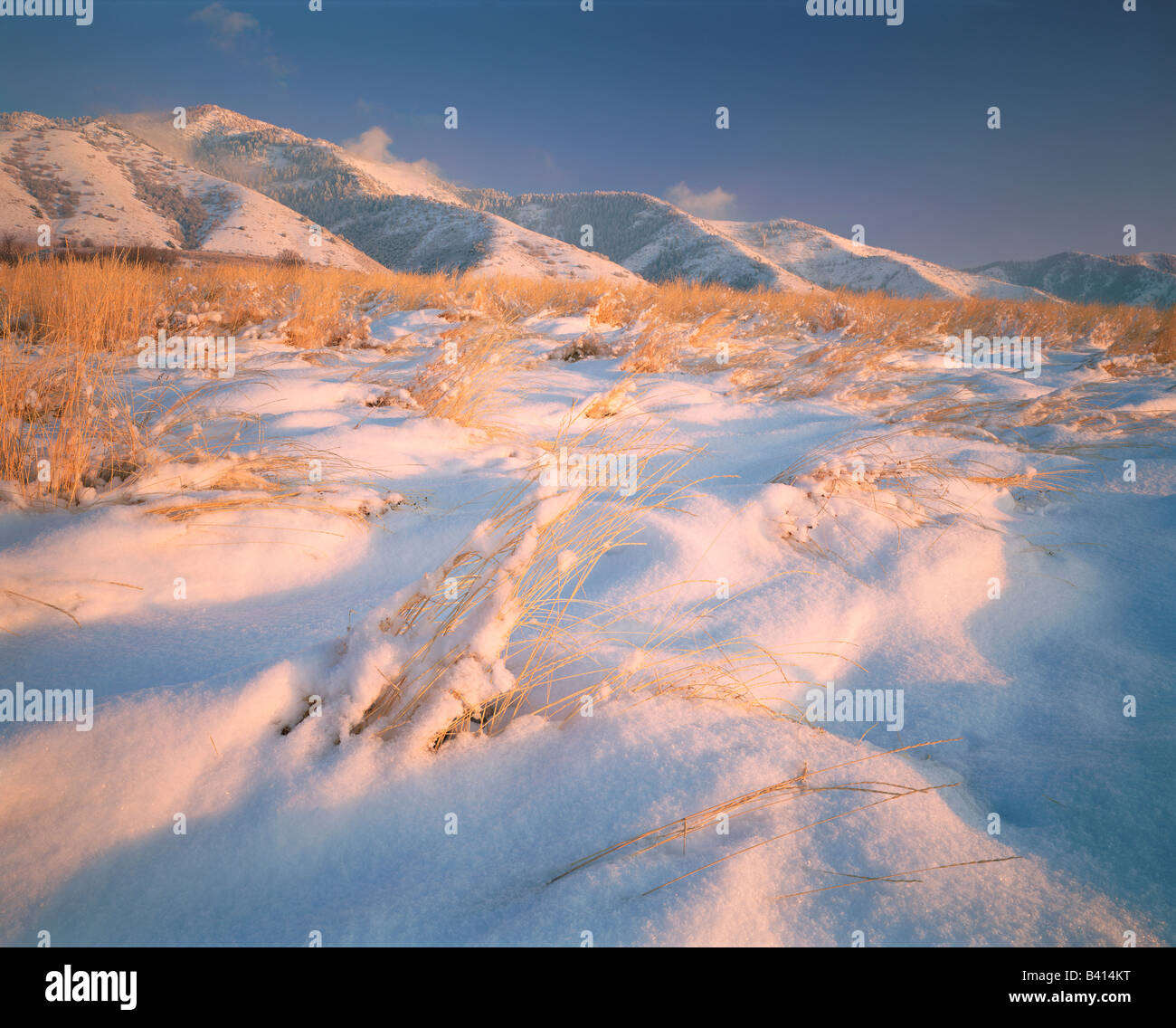 UTAH. USA. Snow on grasses below Bear River Range, Cache Valley Stock ...