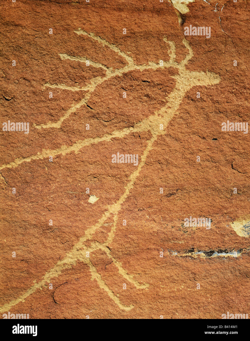 UTAH. USA. Detail, prehistoric petroglyph of elk. Uinta Basin. Fremont ...