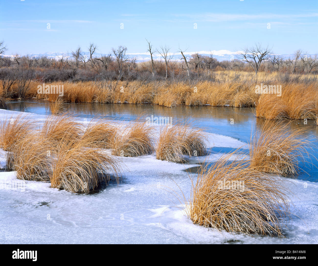 UTAH. USA. Frozen slough along Duchesne River in winter. Uinta Basin ...