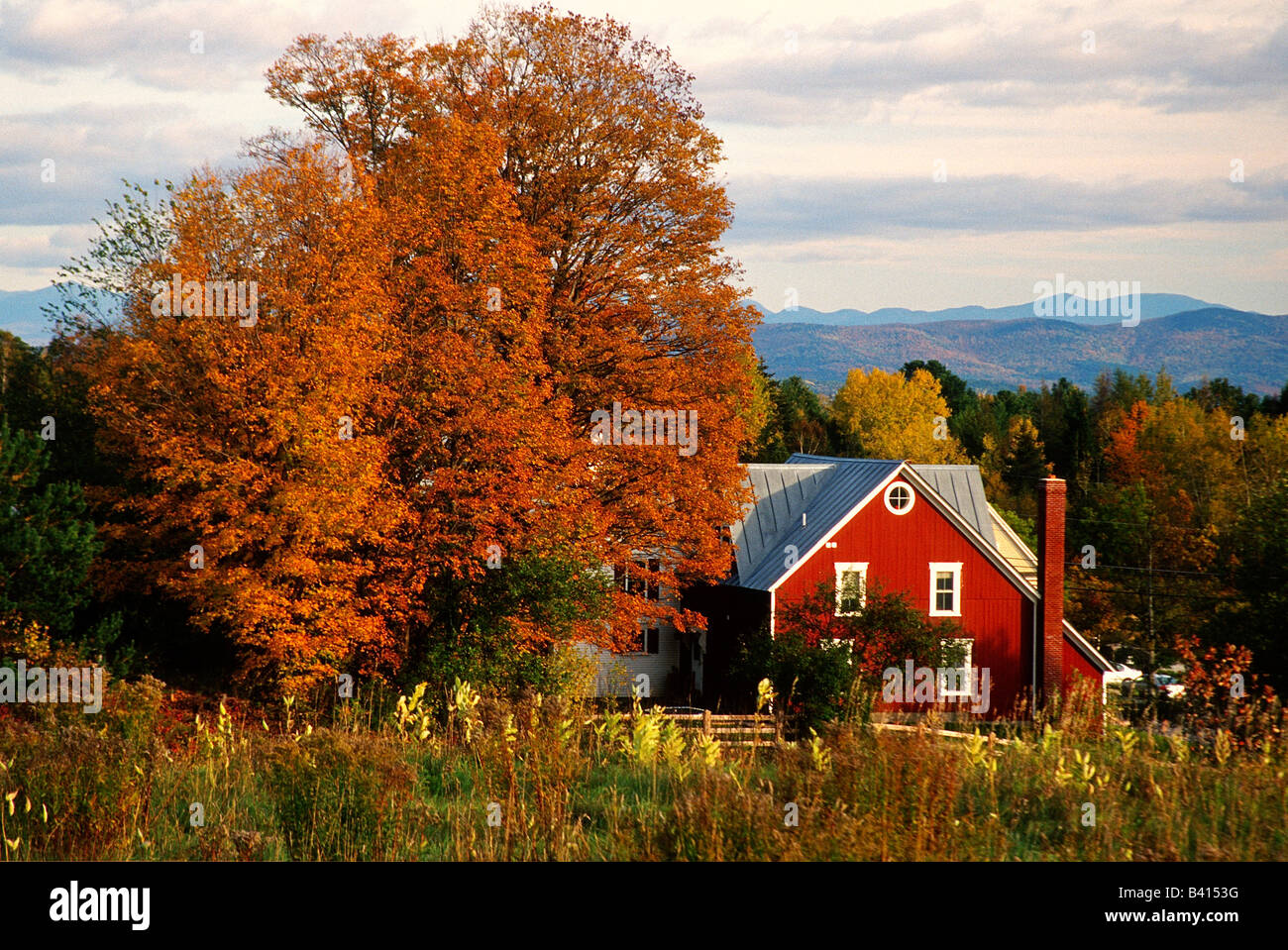 North America, USA, Vermont. A house, tree, and landscape in the ...