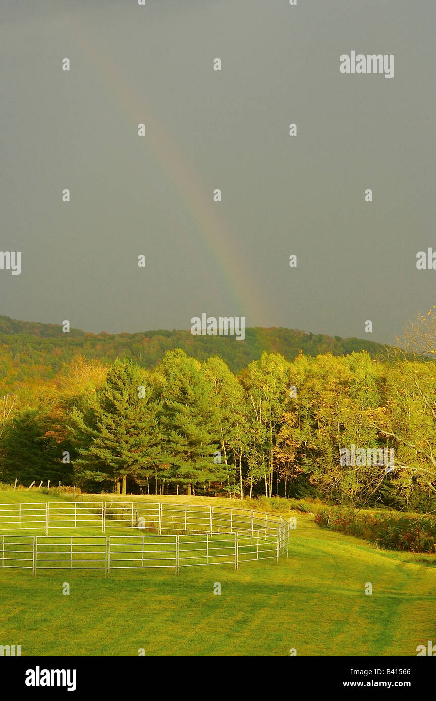 North America, USA, Vermont, Windsor County. Rainbow over a field in ...