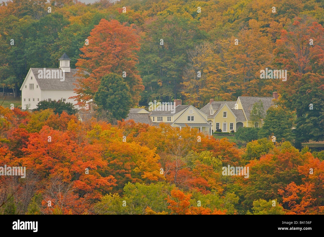 North America, USA, Vermont, Windsor County. Fall foliage surrounding a ...