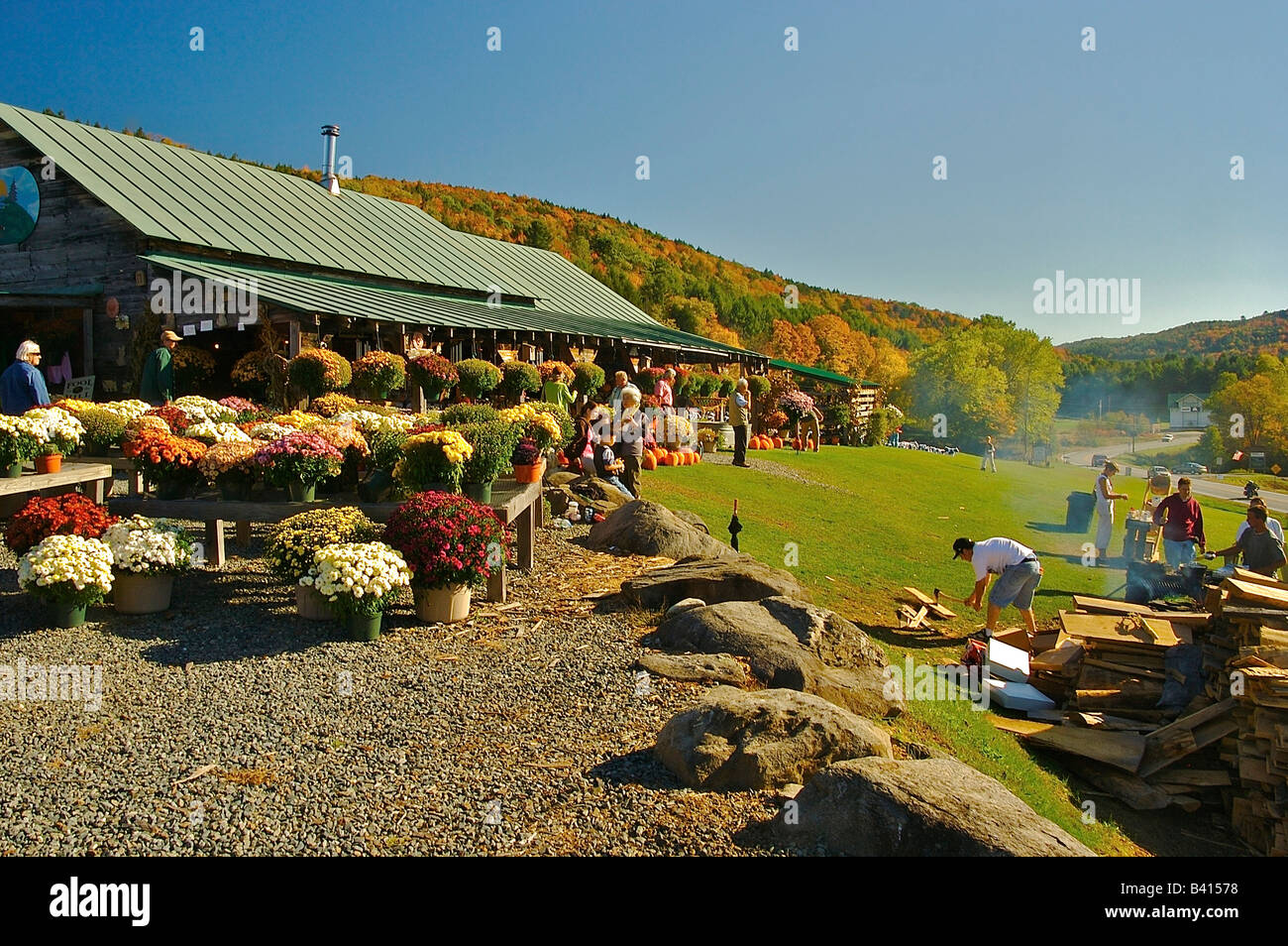 North America, USA, Vermont, Quechee. Flowers and fall scenery at Fool ...