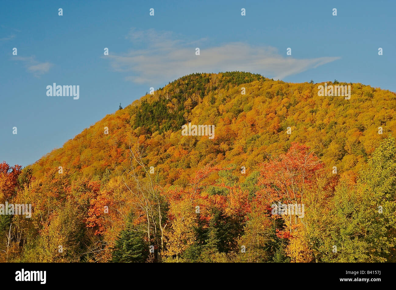 North America, USA, Vermont, Killington. Autumn foliage at Pico ...
