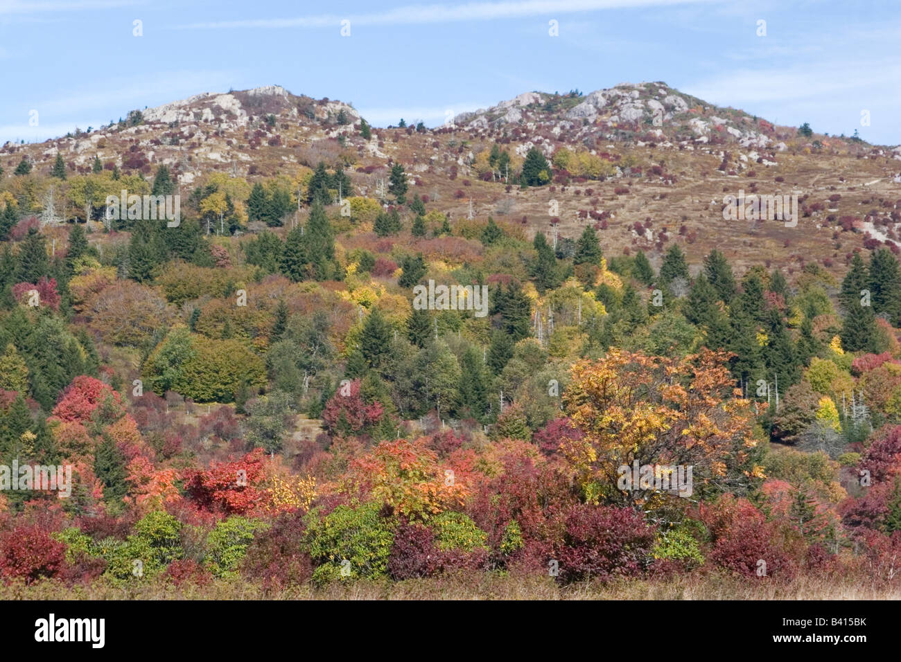 USA - Virginia. Fall color in Grayson Highlands State Park and along ...