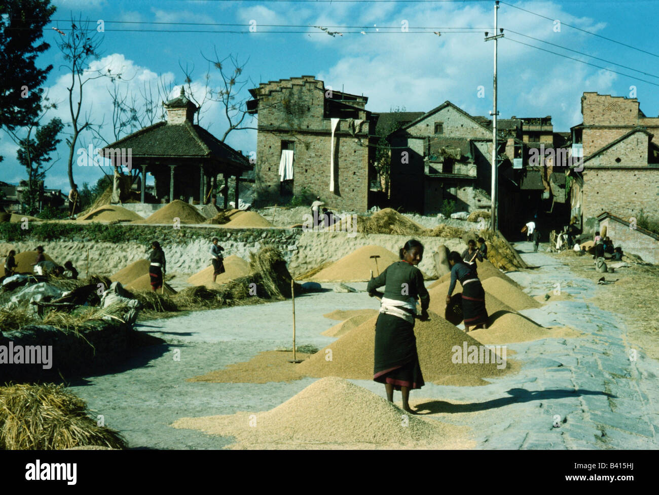 geography / travel, Nepal, agriculture / farming, rice, processing ...