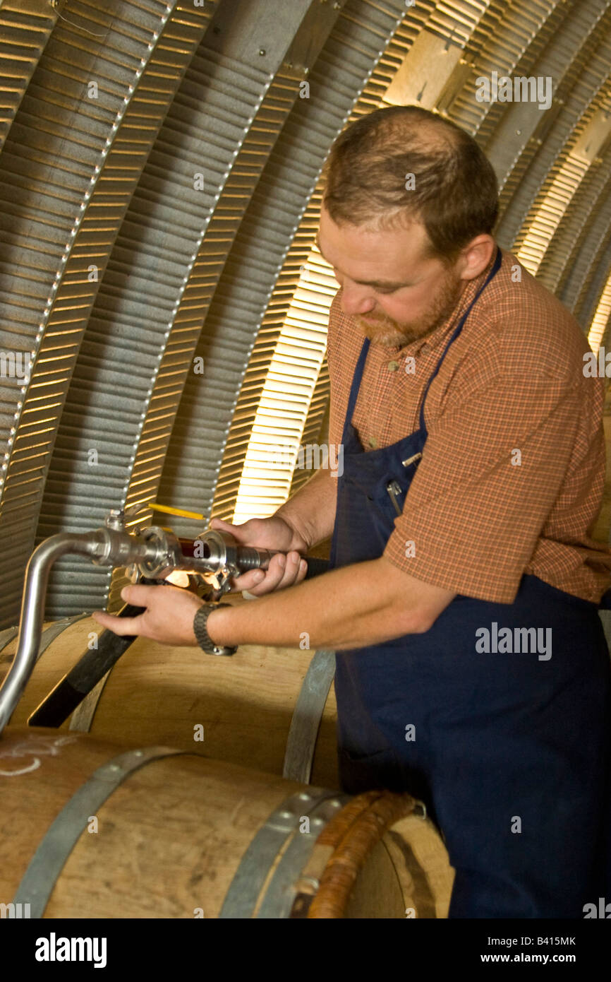 Washington, Quincy. Close-up of a winemaker who racks wine by moving ...