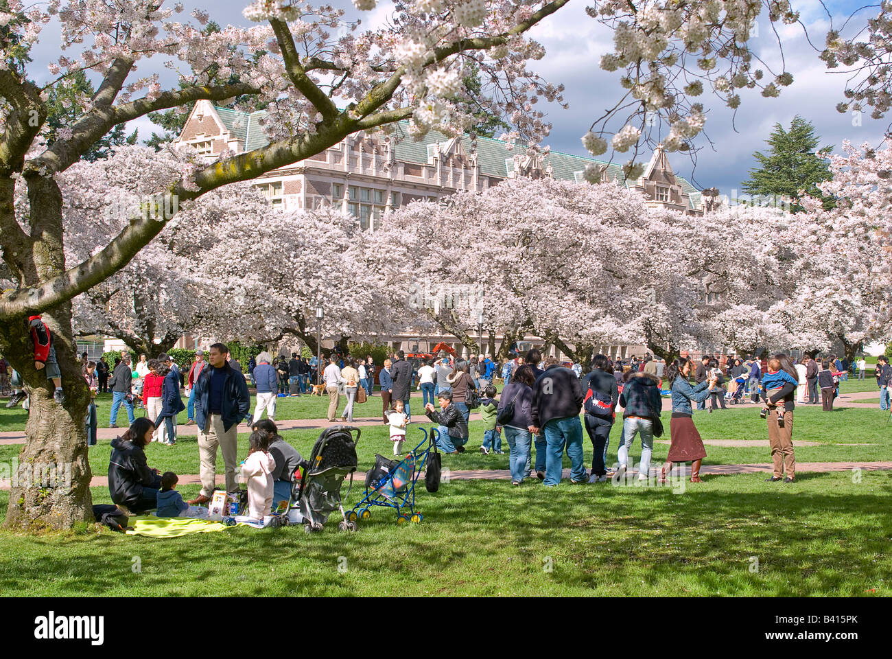 Seattle university students in hi-res stock photography and images - Alamy