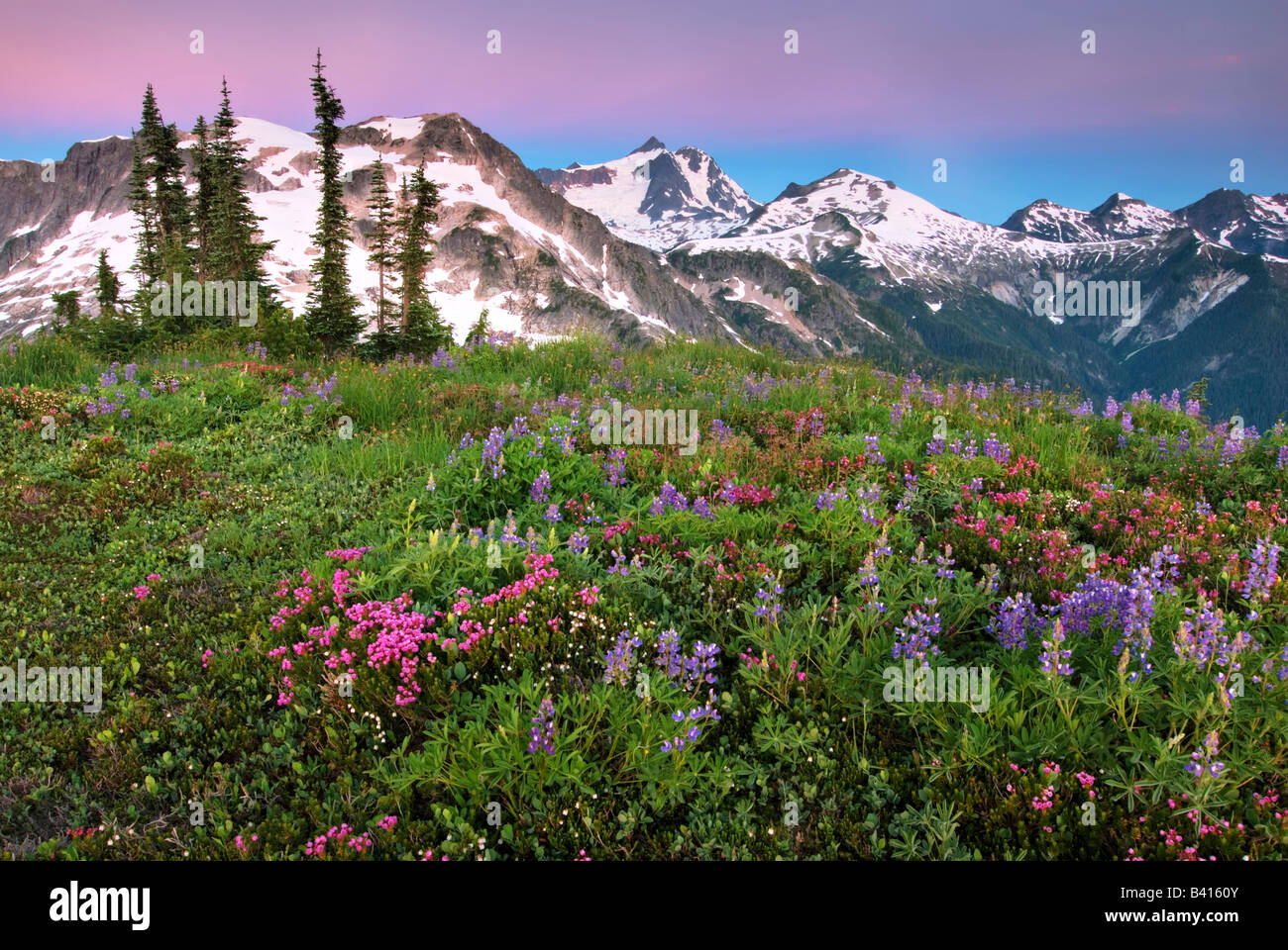 USA, Washington, Cascade Mountains, North Cascades NP. A brilliant ...
