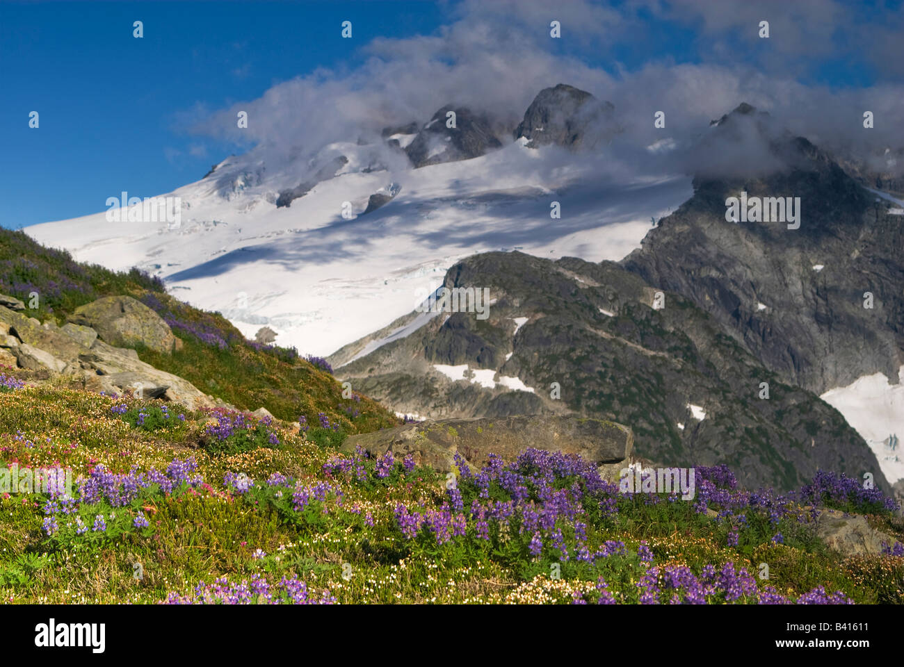 USA, Washington, Cascade Mountains, North Cascades NP. Mt. Challenger ...