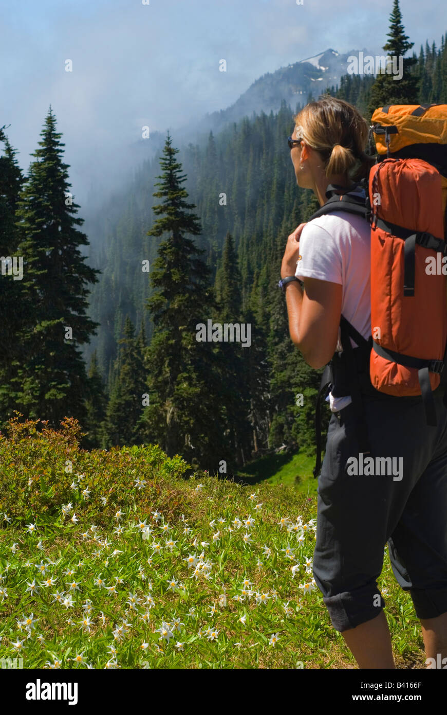 Avalanche divide trail hi-res stock photography and images - Alamy