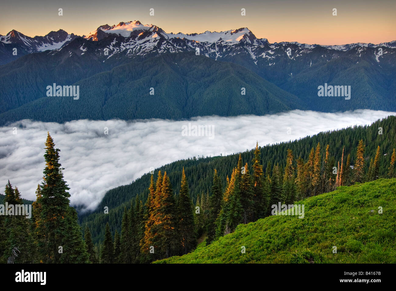 USA, Washington, Olympic National Park. View of Mt. Olympus from the ...