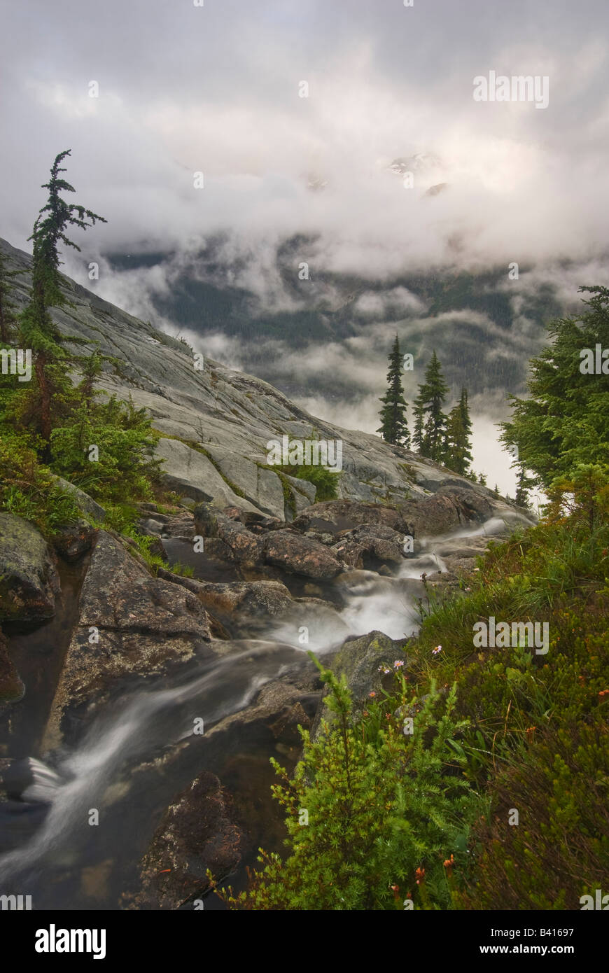 USA, Washington, Cascade Mountains. Alpine scenery at Robin Lakes in ...