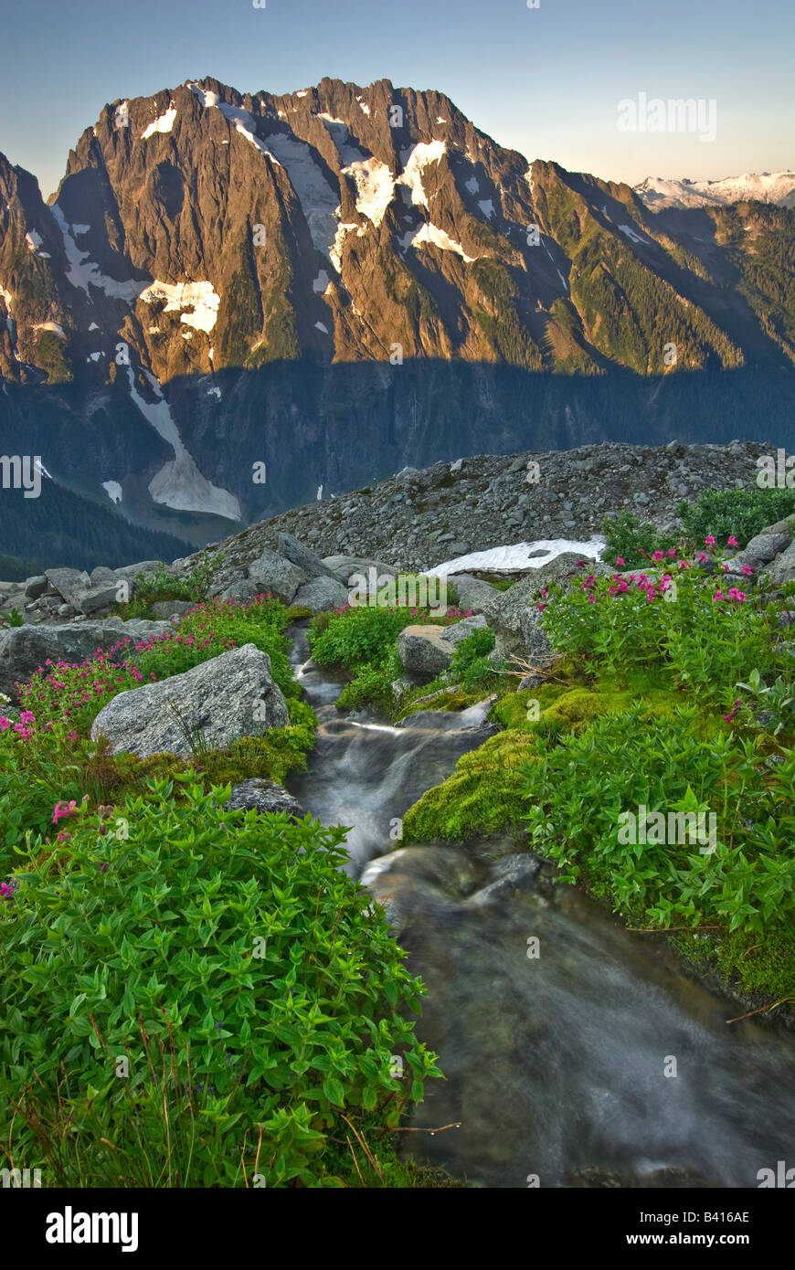 USA, Washington, North Cascades. Rushing creek and wildflowers with a ...