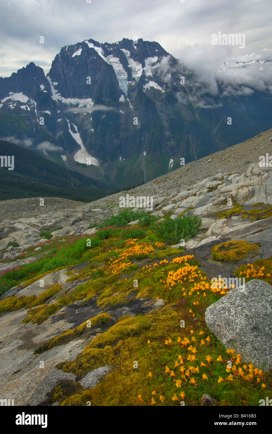 Boston basin hi-res stock photography and images - Alamy