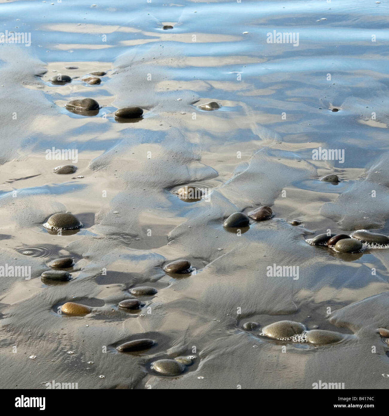 Receding Tide at Kalaloch Beach, Olympic NP, Washington Stock Photo - Alamy