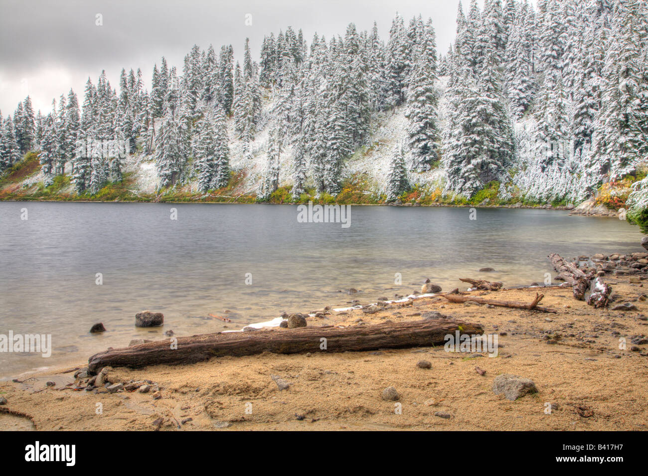 Jackson Washington State Forest High Resolution Stock Photography and ...
