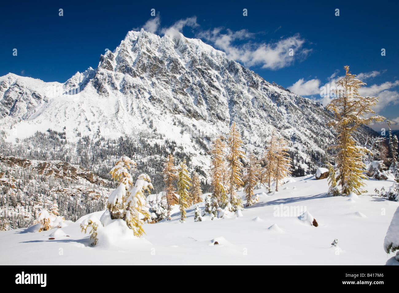 WA, Alpine Lakes Wilderness, Mount Stuart, with golden larch trees and ...