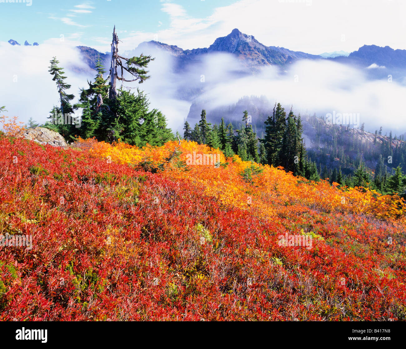 WA, Alpine Lakes Wilderness, Fall Color on Rampart Ridge Stock Photo ...