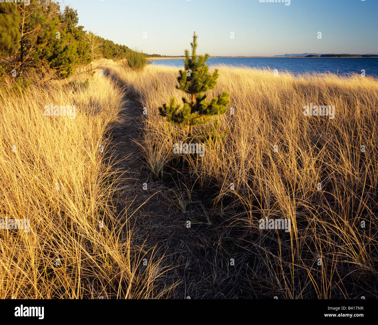 Leadbetter point sp hi-res stock photography and images - Alamy