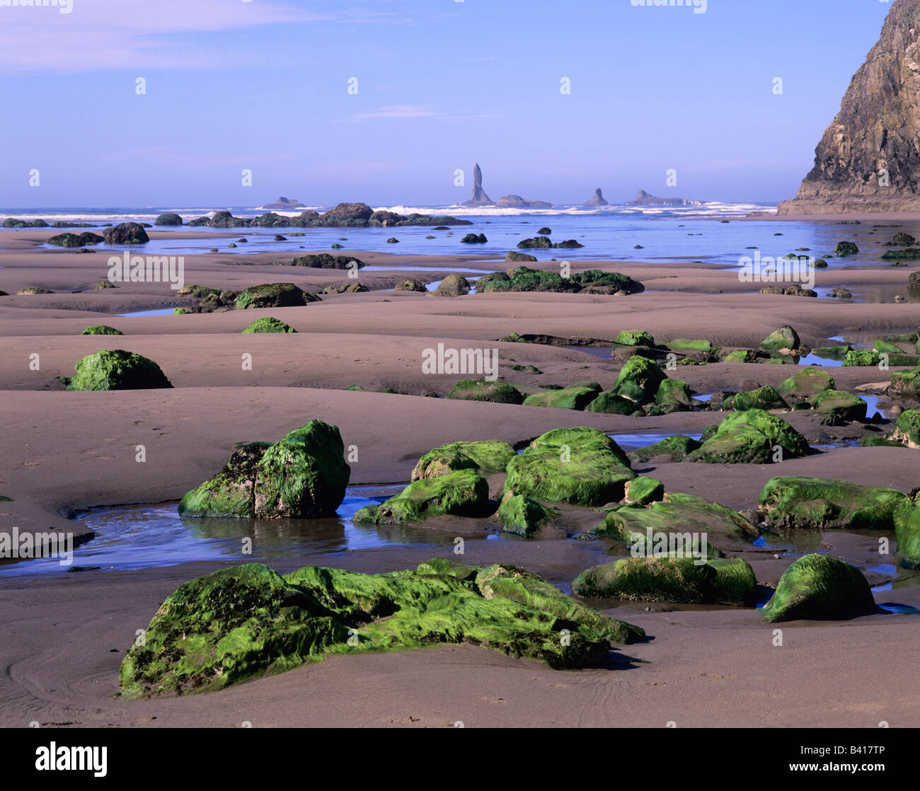 WA, Olympic National Park, Second Beach, Tidepools & Seastacks Stock ...