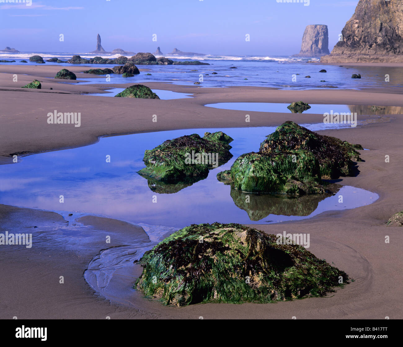 WA, Olympic National Park, Second Beach, Tidepools & Seastacks Stock ...