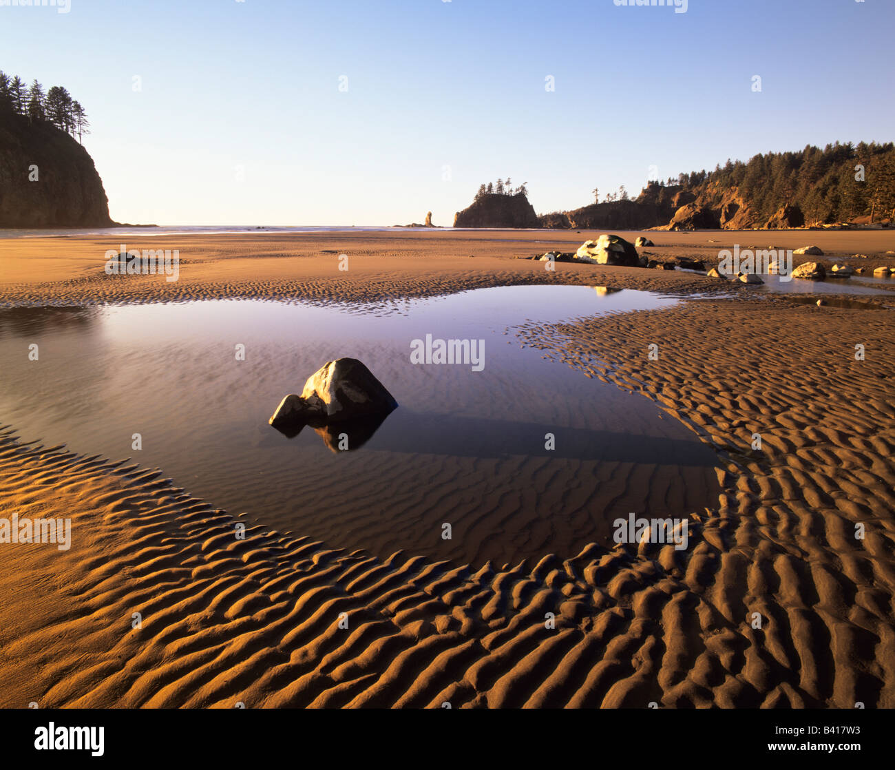 WA, Olympic National Park, Second Beach, water rippled sand and tide ...