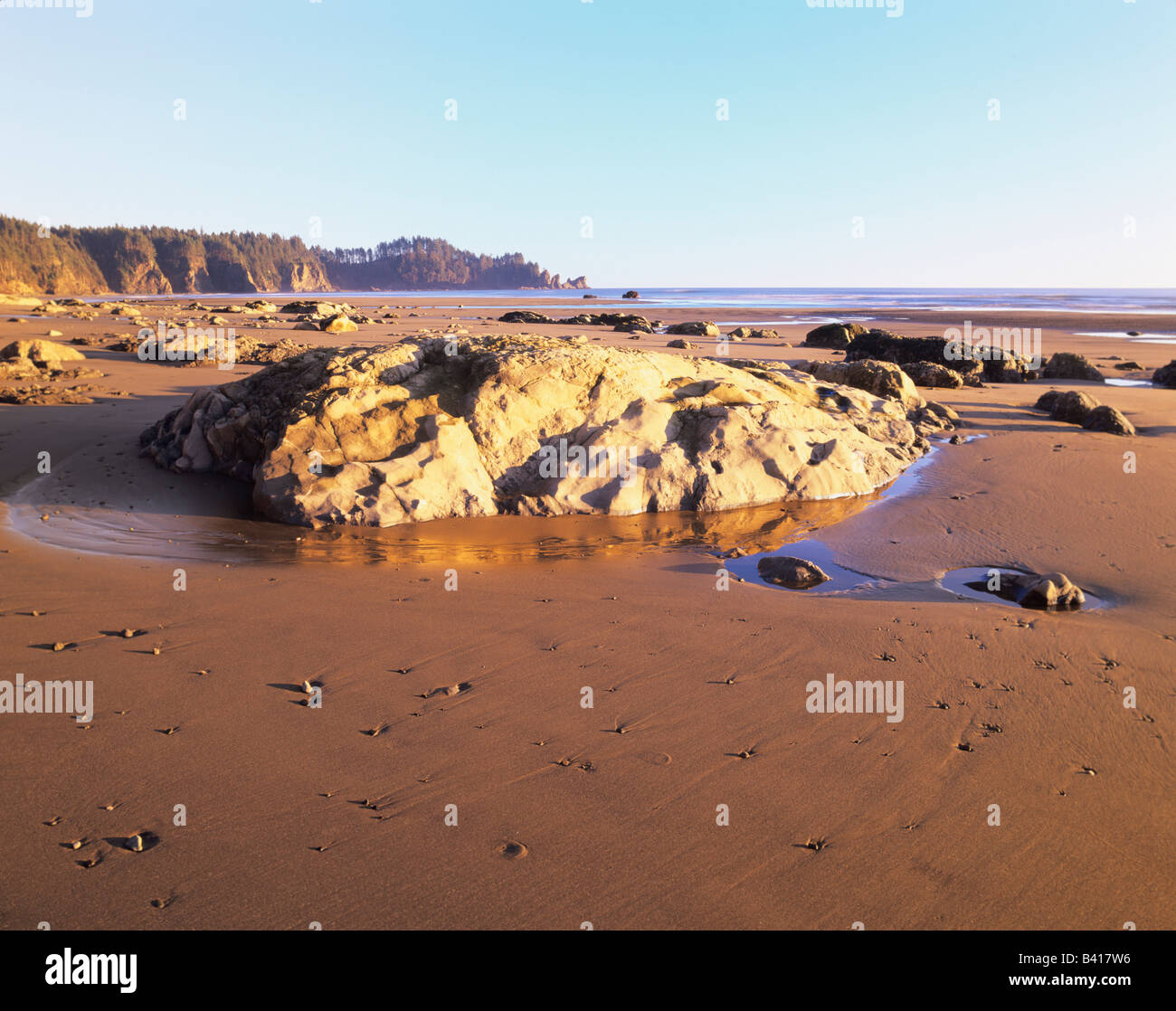 WA, Olympic National Park, Second Beach, tidepools and seastacks Stock ...